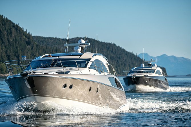 Private Luxury Whale Watch - Who Would Benefit Most from This Experience?