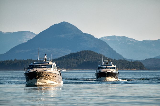 Private Luxury Whale Watch - Final Thoughts