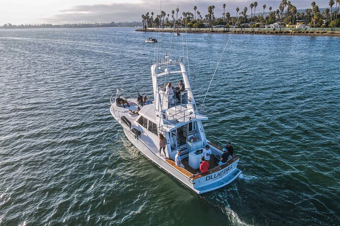 Private Luxury Whale Watching Tour in San Diego - Final Thoughts: Is It Worth It?