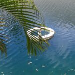Private Magic City Tour with Transfers Experience - Why the Private Magic City Tour Stands Out