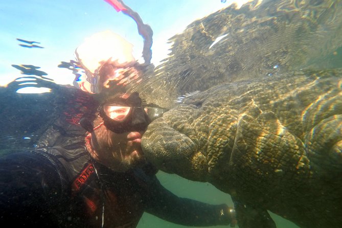 Private Manatee Swim for up to 6 with In-Water Divemaster/Photographer - Key Points
