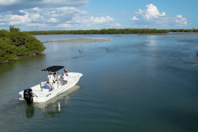 Private Marco Island / 10,000 Islands Sightseeing & Dolphin Tour - Key Points  