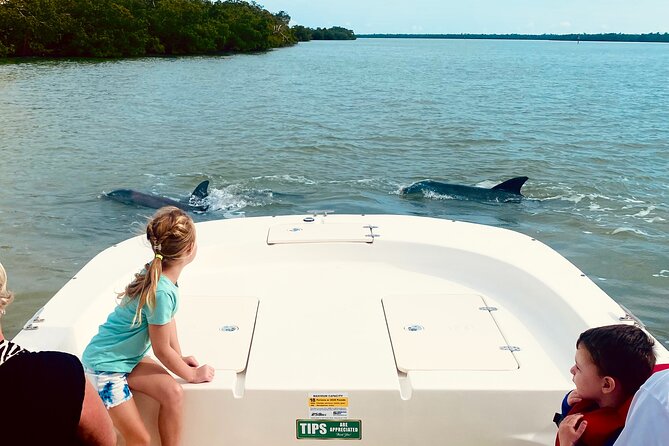 Private Marco Island / 10,000 Islands Sightseeing & Dolphin Tour - Overview of the Tour Experience
