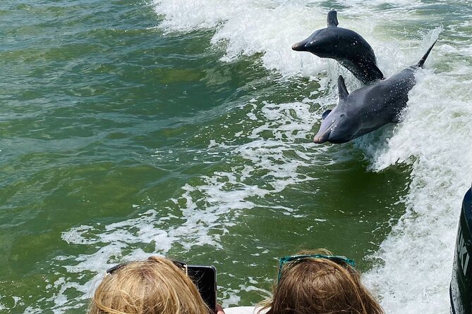 Private Marco Island / 10,000 Islands Sightseeing & Dolphin Tour - Practical Details & Tips