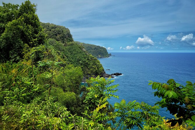 Private Maui Redwood Hiking Experience - An In-Depth Look at the Maui Redwood Hiking Experience