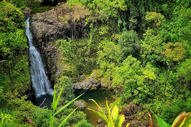 Private Maui Redwood Hiking Experience - The Sum Up