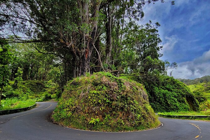 Private Maui Redwood Hiking Experience - FAQs