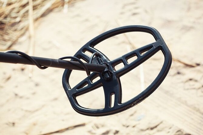Private Metal Detecting Tour to Simmons Island Beach of Kenosha - Key Points