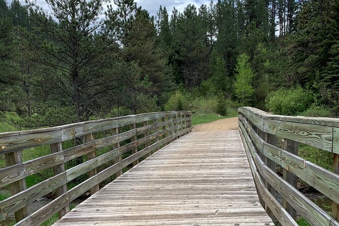 Private Mickelson Trail Bicycling Tour - Who Is This Tour Best For?
