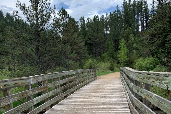 Private Mickelson Trail Bike Tour - Key Points