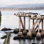 Private Monterey, Carmel and 17-Mile Drive Day Trip from San Francisco - Who Will Love This Tour?
