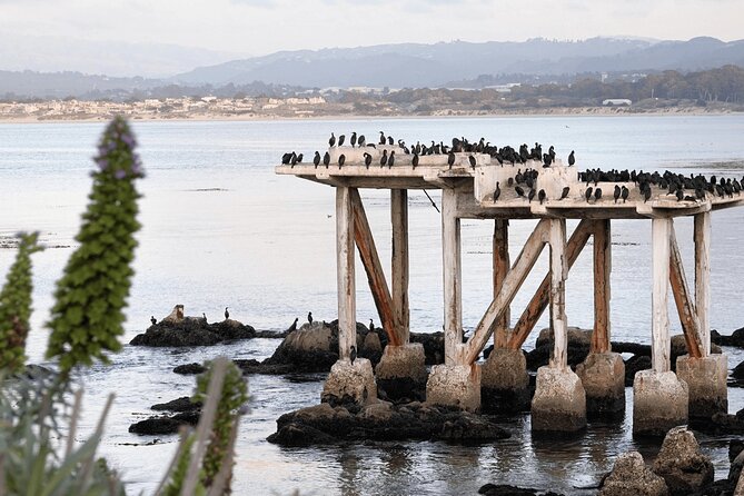 Private Monterey, Carmel and 17-Mile Drive Day Trip from San Francisco - Who Will Love This Tour?
