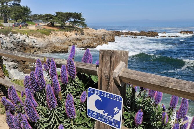 Private Monterey, Carmel and 17-Mile Drive Day Trip from San Francisco - Final Thoughts