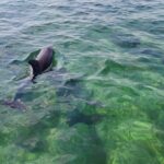 Private Morning Tiki Boat Eco Cruise in Key West - Practical Details: Logistics and Considerations