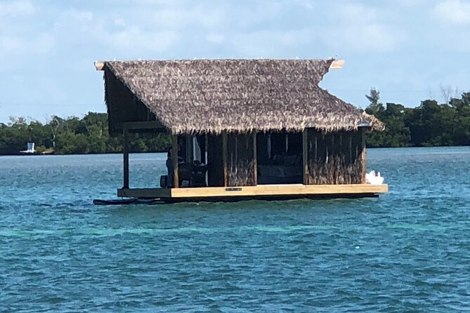 Private Morning Tiki Boat Eco Cruise in Key West - Who Will Love This Experience?
