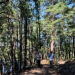 Private Mount Rushmore and Flume Trail Hike - Why the Guides Make a Difference