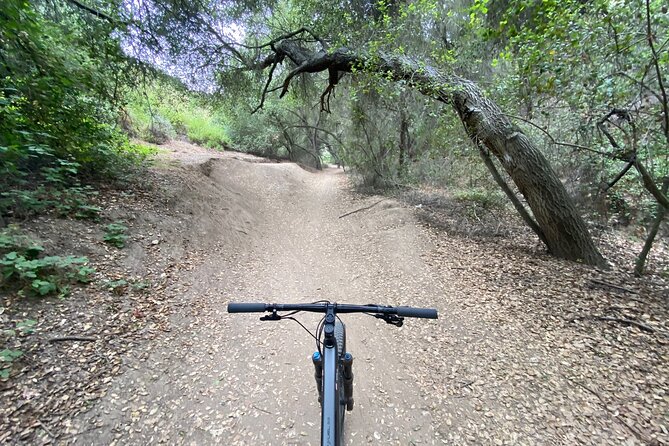 Private Mountain Biking Adventure in San Diego - Who Is This Tour Perfect For?