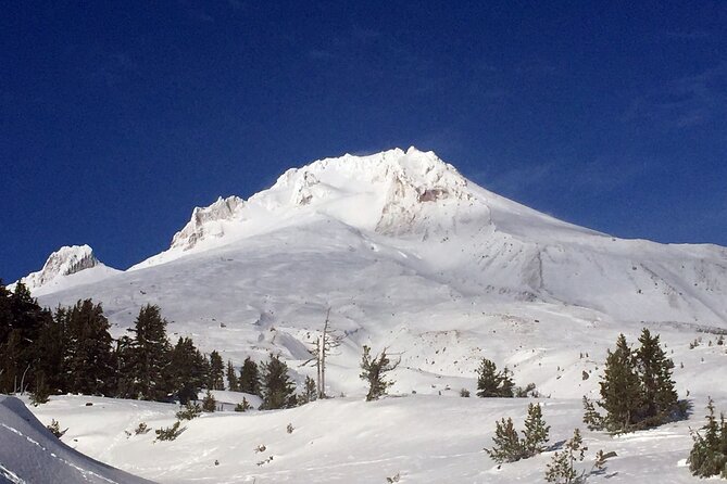 Private Mt Hood Waterfall Tour with Lunch and Wine included - Why This Tour Offers Real Value