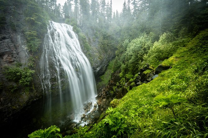 Private Mt Rainier National Park Day Trip from Seattle - An In-Depth Look at the Mt. Rainier Private Day Trip