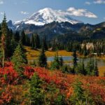 Private Mt Rainier National Park Tour in SUV - Is This Tour Right for You?