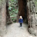 Private Muir Woods and Sausalito Half Day Tour - The Golden Gate Bridge Photo Stop