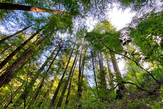 Private Muir Woods and Sausalito Half-Day Tour from San Francisco - FAQ