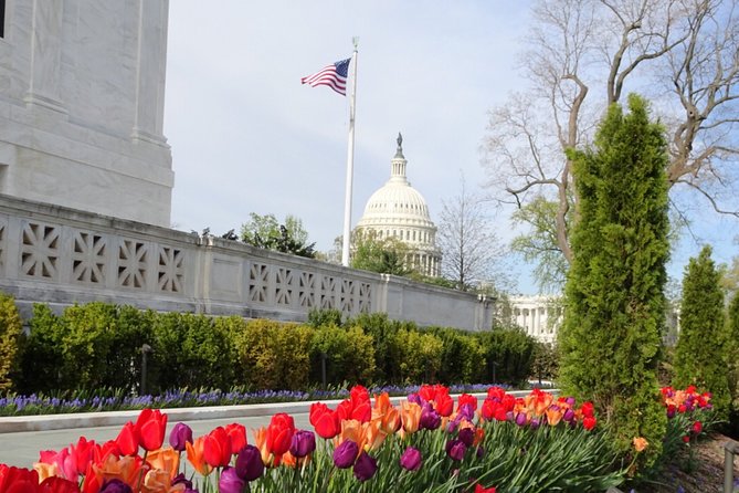 Private Multilingual DC City Tour (Spanish, Portuguese, English) - Exploring Washington DC: A Deep Dive into the Private Multilingual Tour