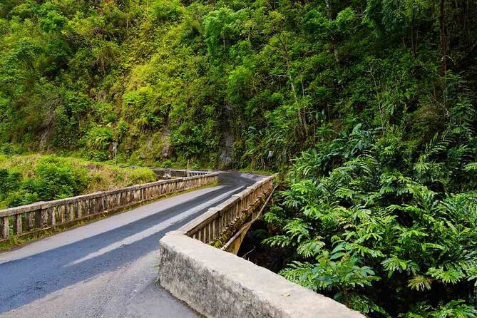 Private Native Tour of the Road to Hana with Cultural Lunch Show - Who Will Love This Tour?