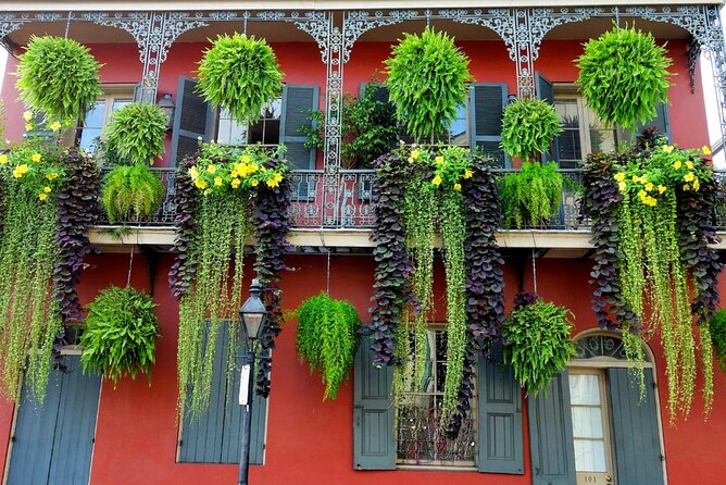 Private New Orleans City Tour with Local Expert Guide - Why Choose This Tour?