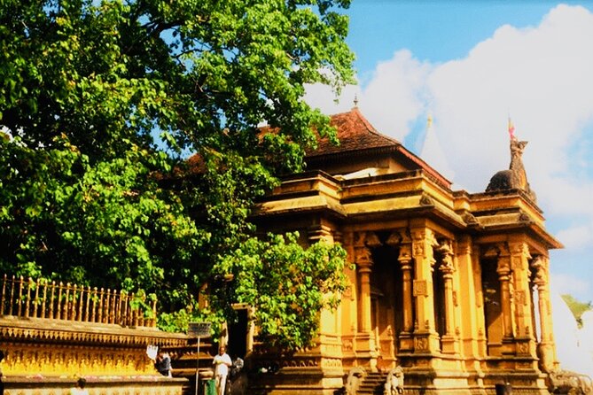 Private Night Tour in Colombo with Street Food Tasting - Authentic Food and Nighttime Views