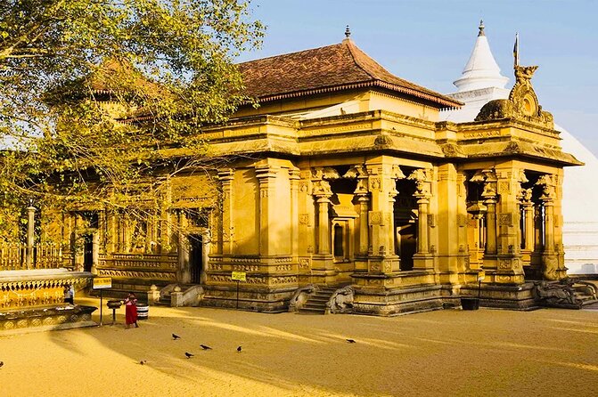 Private Night Tour in Colombo with Street Food Tasting - Who Is This Tour Best For?