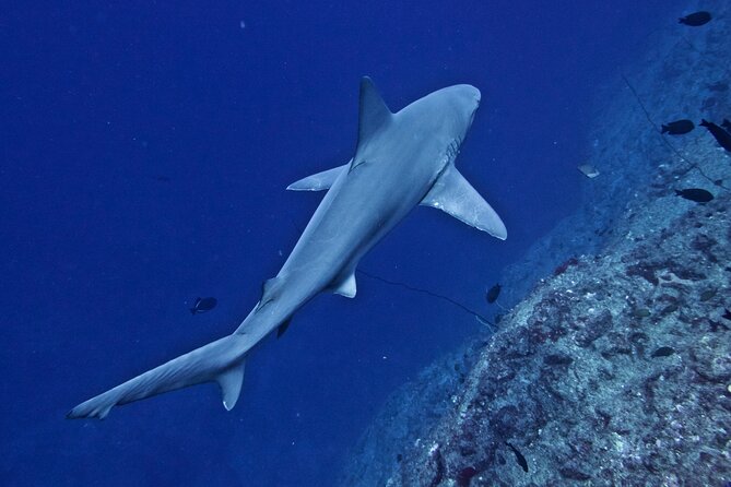 Private Niihau Scenic Snorkel - The Itinerary Breakdown