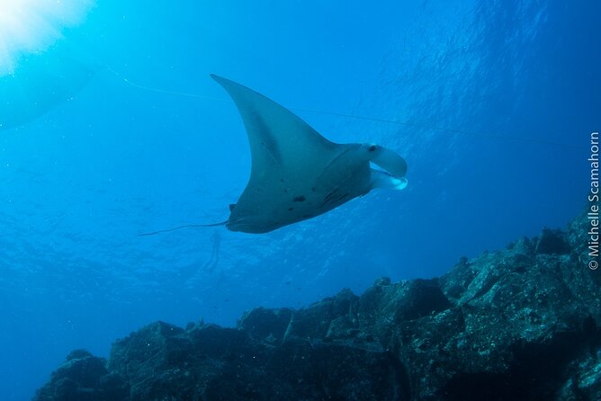 Private Niihau Scenic Snorkel - Practical Details and What to Expect