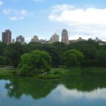 Private NYC Central Park 4 Hour Adventure Tour - Who Will Love This Tour?