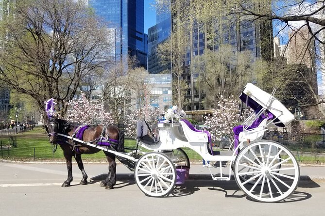 Private NYC Central Park Horse Carriage Ride (Guided) Since 1965 - The Experience: In-Depth Breakdown