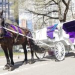 Private NYC Central Park Horse Carriage Ride (Guided) Since 1965 - Who Is This Tour Best For?