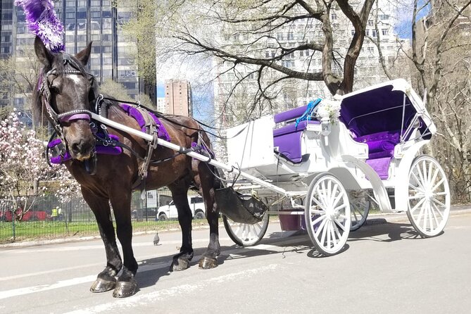 Private NYC Central Park Horse Carriage Ride (Guided) Since 1965 - Who Is This Tour Best For?