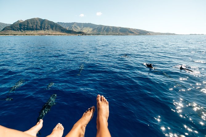 Private Oahu Sunset Charter with Tasting and Drinks - Practical Details and Tips