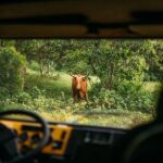 Private Off-Road Adventure Tour - Considerations & Practical Tips
