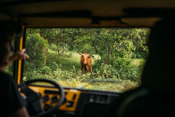 Private Off-Road Adventure Tour - Considerations & Practical Tips