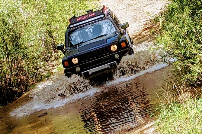 Private Off Road Adventure Tours in the Prescott National Forest - Key Points