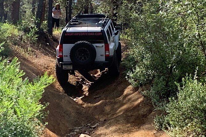 Private Off Road Adventure Tours in the Prescott National Forest - Practical Details and Considerations