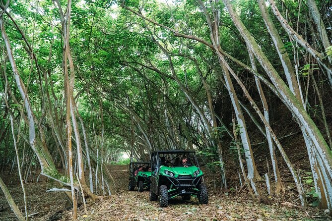 Private Off Road Explorer's Tour - The Itinerary in Detail