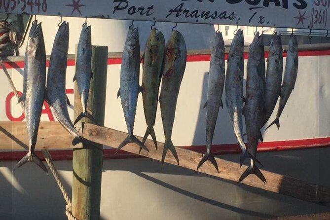 Private Offshore Fishing Charter from Port Aransas - What to Expect on Your Offshore Fishing Adventure