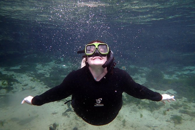 Private 'OG' Manatee Snorkel Tour with Guide for up to 10 people - Who Should Consider This Tour  