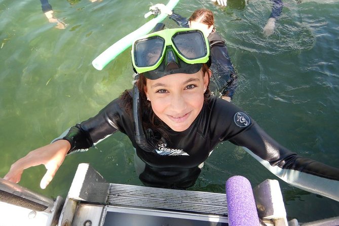 Private 'OG' Manatee Snorkel Tour with Guide for up to 10 people - Final Thoughts