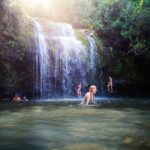 Private Ohana Kohala Waterfalls Adventure - What Makes This Tour Stand Out?