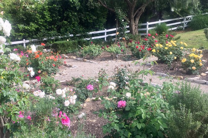 Private Palos Verdes Tour: Lighthouse, Ocean/City with Dinner - FAQ