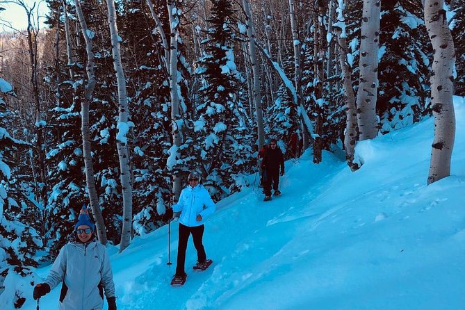 Private Park City Snowshoe Excursions (9:30am/12:30pm start time) - A Closer Look at the Experience