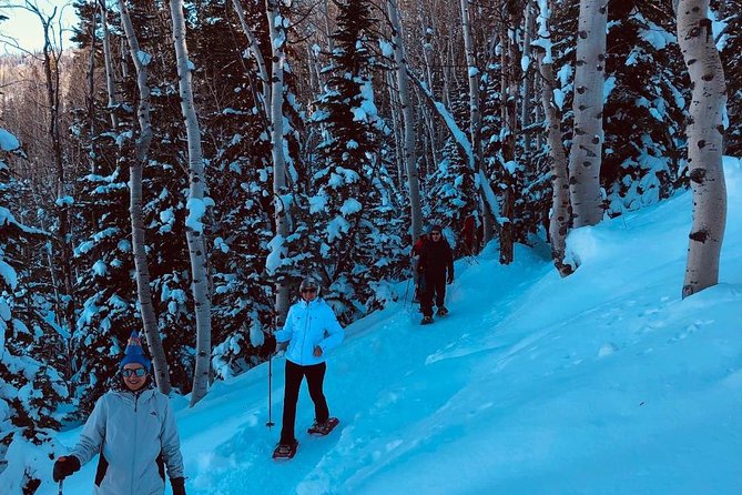 Private Park City Snowshoe Excursions (9:30am/12:30pm start time) - The Experience: A Mix of Scenic Beauty and Practical Comfort